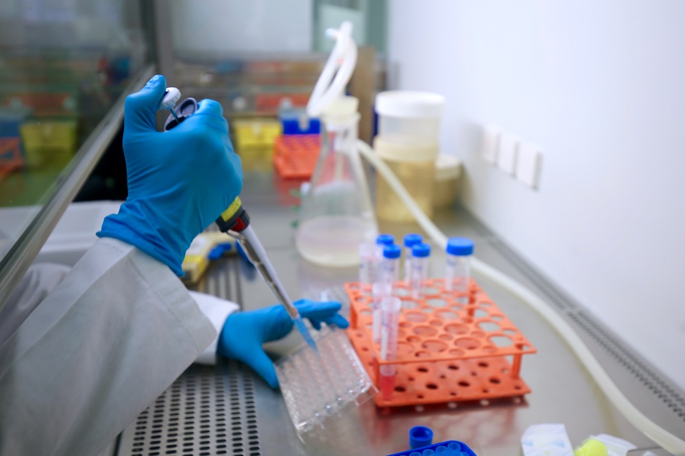 Educations and Careers - HSR Research